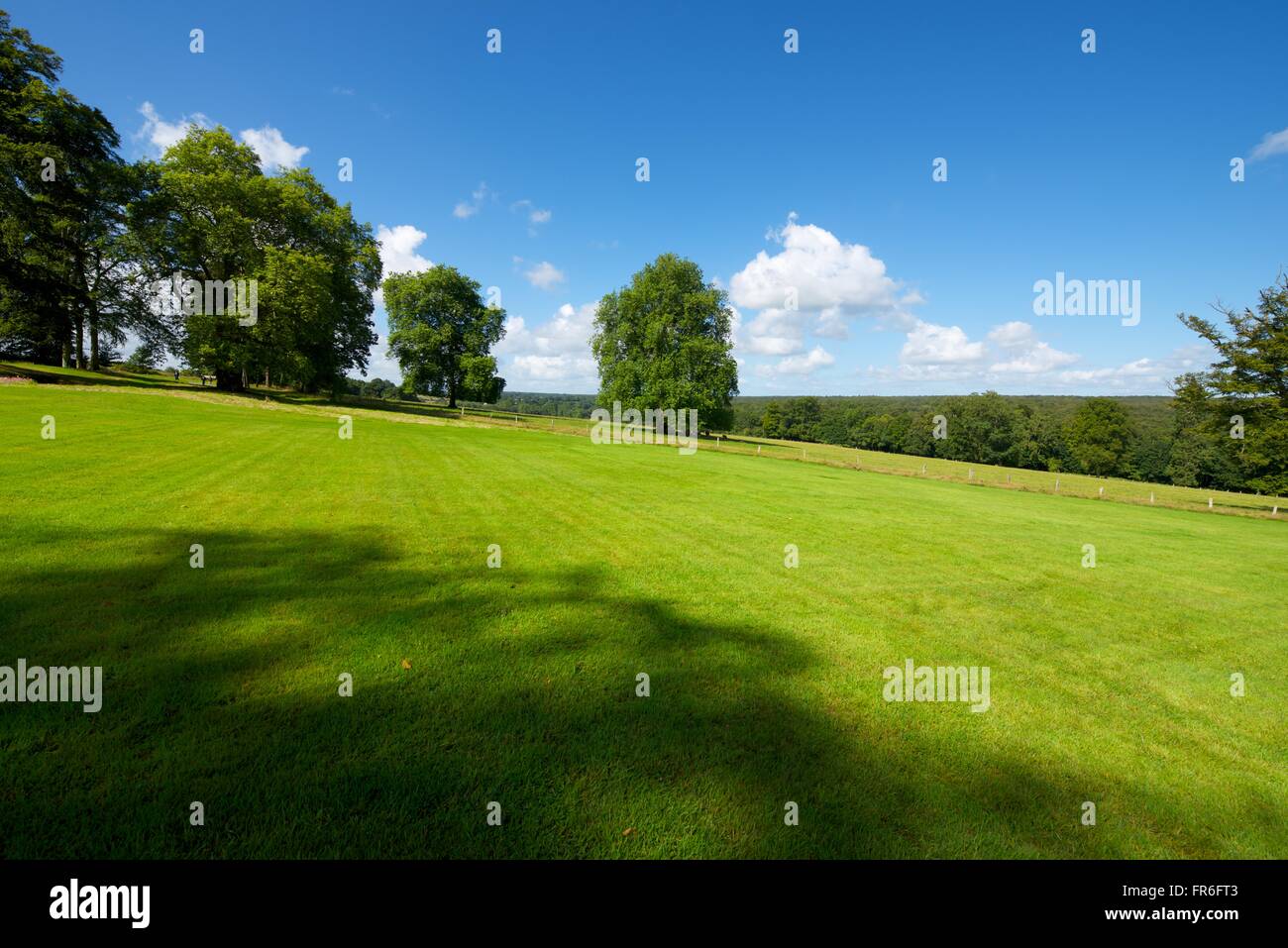 Green meadow with trees in Normandy, France Stock Photo - Alamy