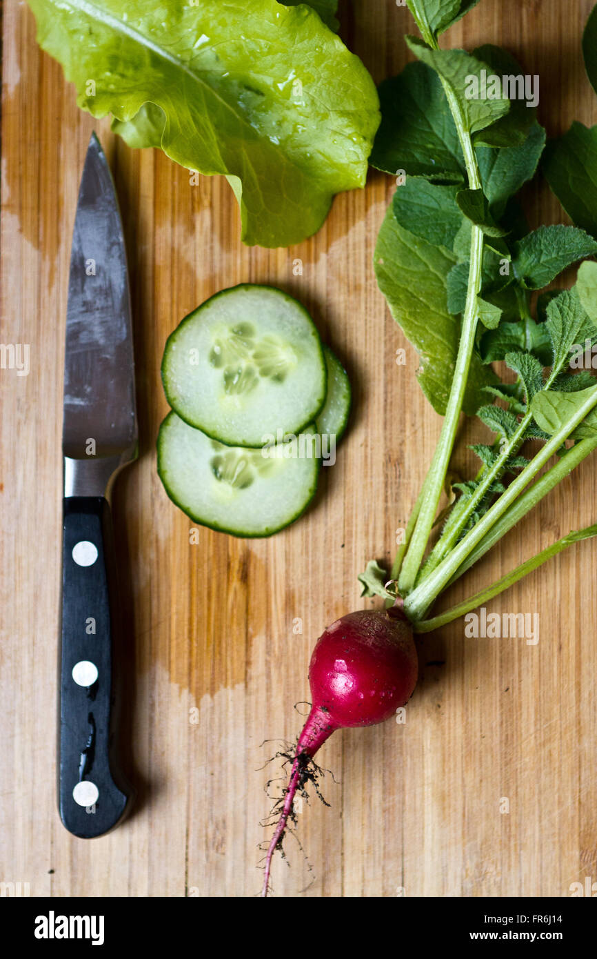 Radish garden hi-res stock photography and images - Alamy