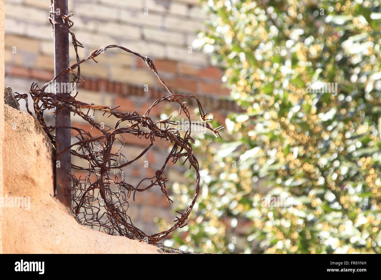Detail of post rusty barbed wire Stock Photo - Alamy