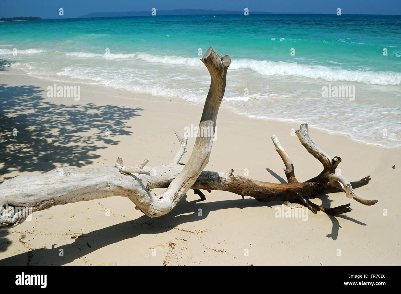 kalapathar beach at havelock island ,andaman islands india Stock Photo ...