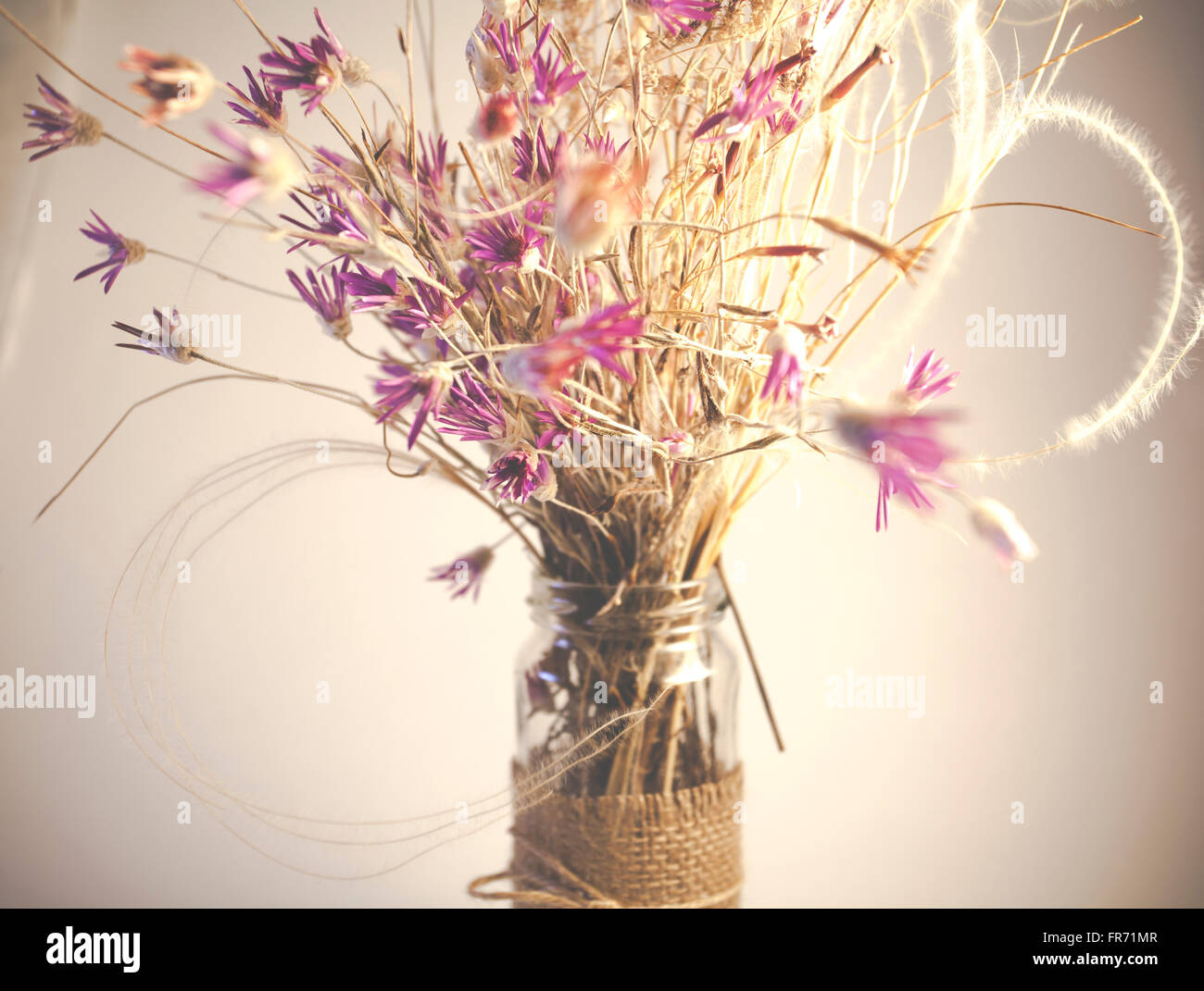 Bouquet of beautiful purple dry flowers. Gentle flowers. Postcard view ...