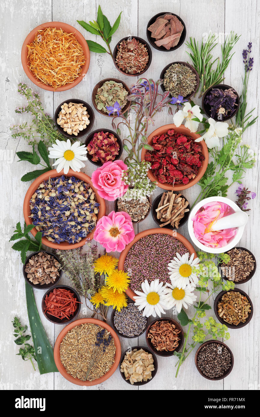 Naturopathic flower and herb selection used in alternative herbal ...