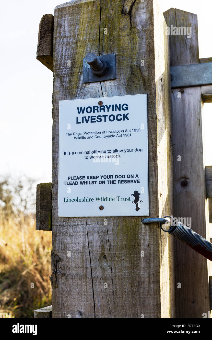 Worrying livestock dog dogs killing sheep sign Gibraltar Point Skegness ...