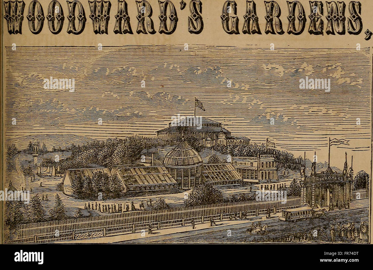 The California horticulturist and floral magazine (1870 Stock Photo - Alamy