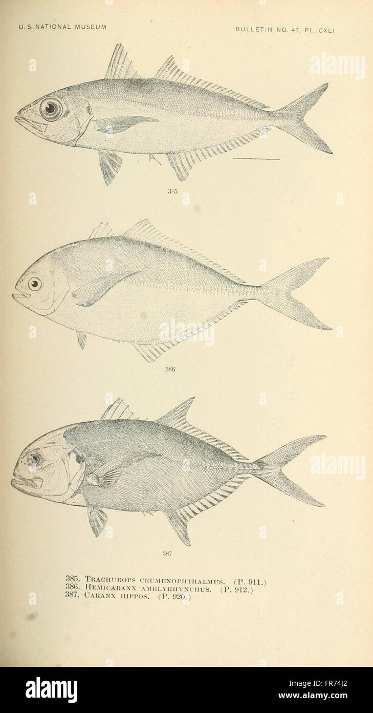 This volume features various fish species from North and Middle America ...