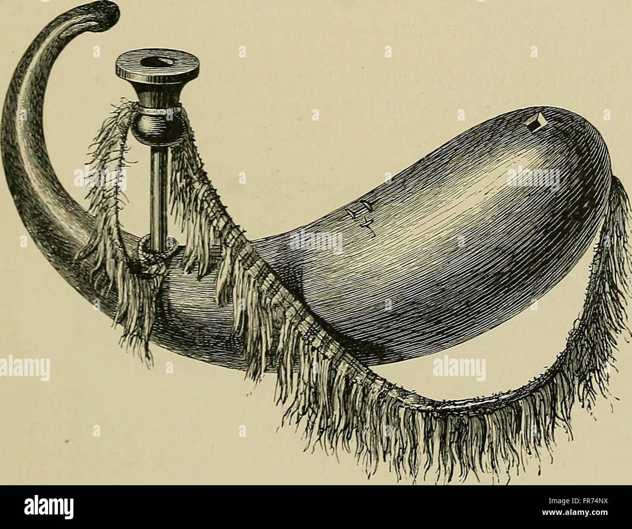 The History of Mankind, published in 1896, explores the evolution of ...