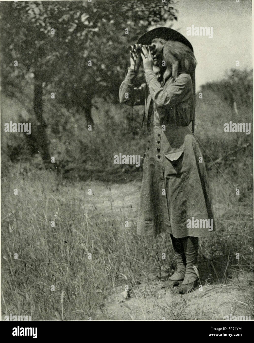 Another issue of the American Museum Journal from the early 1900s ...