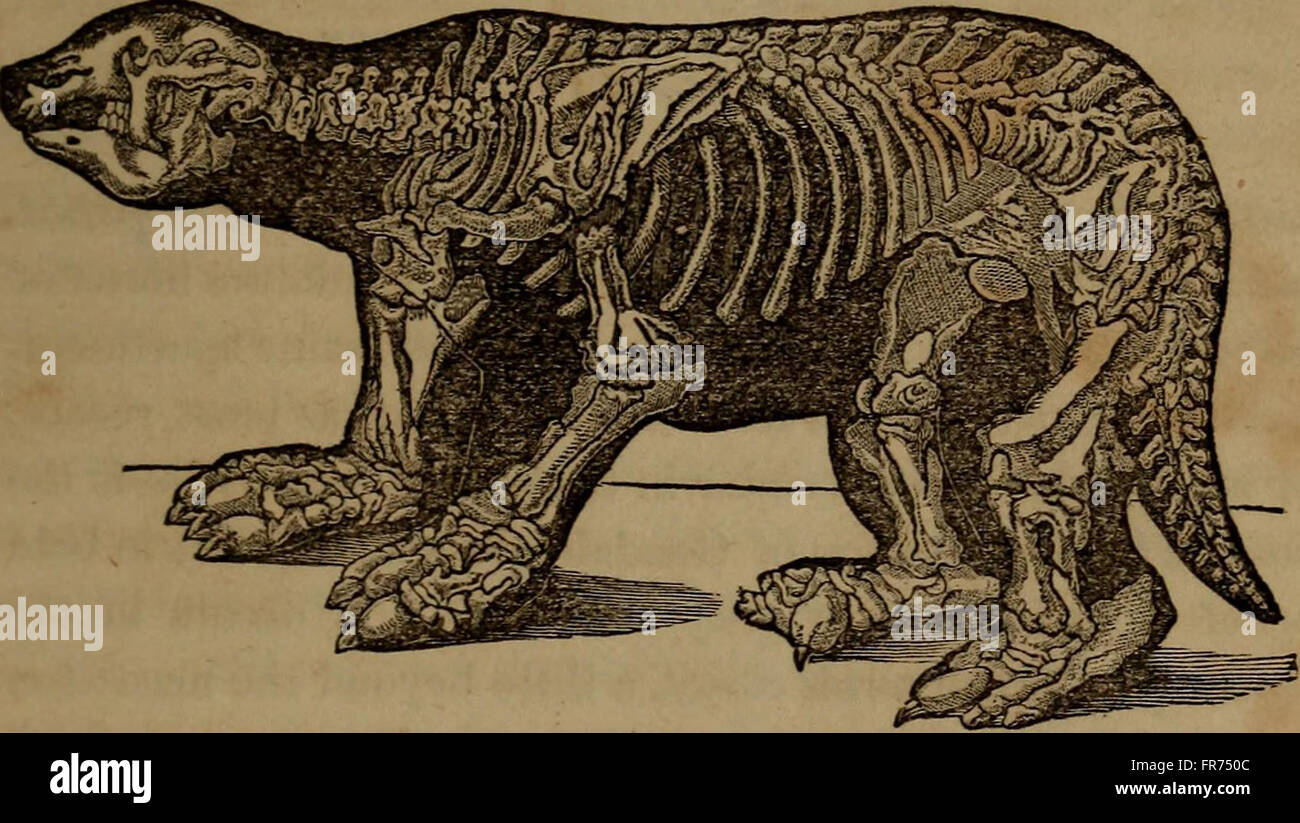 In this 1867 work, the author explores geological evidence, using rocks ...