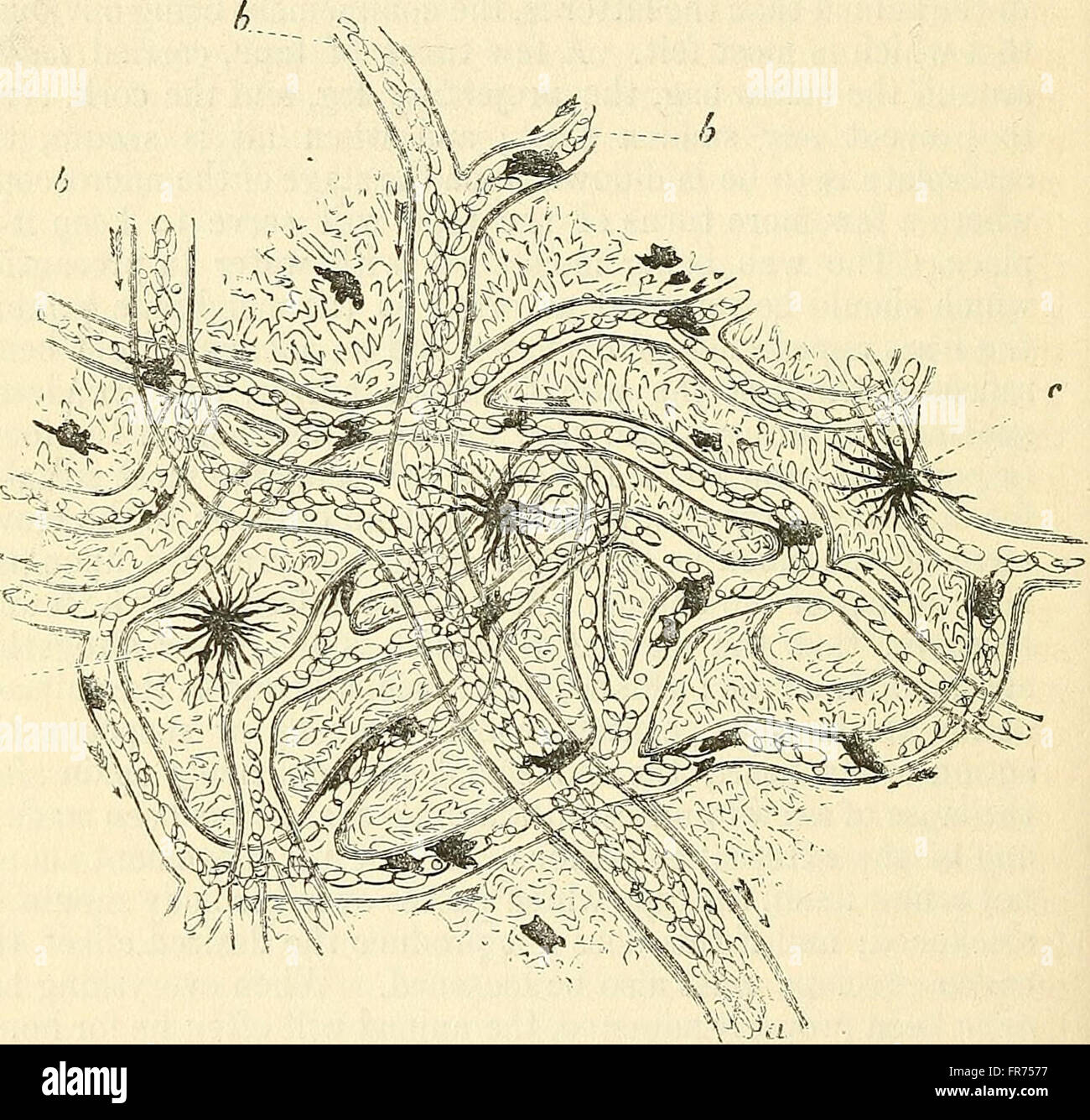 This 1856 book explores the discoveries made through the use of the ...