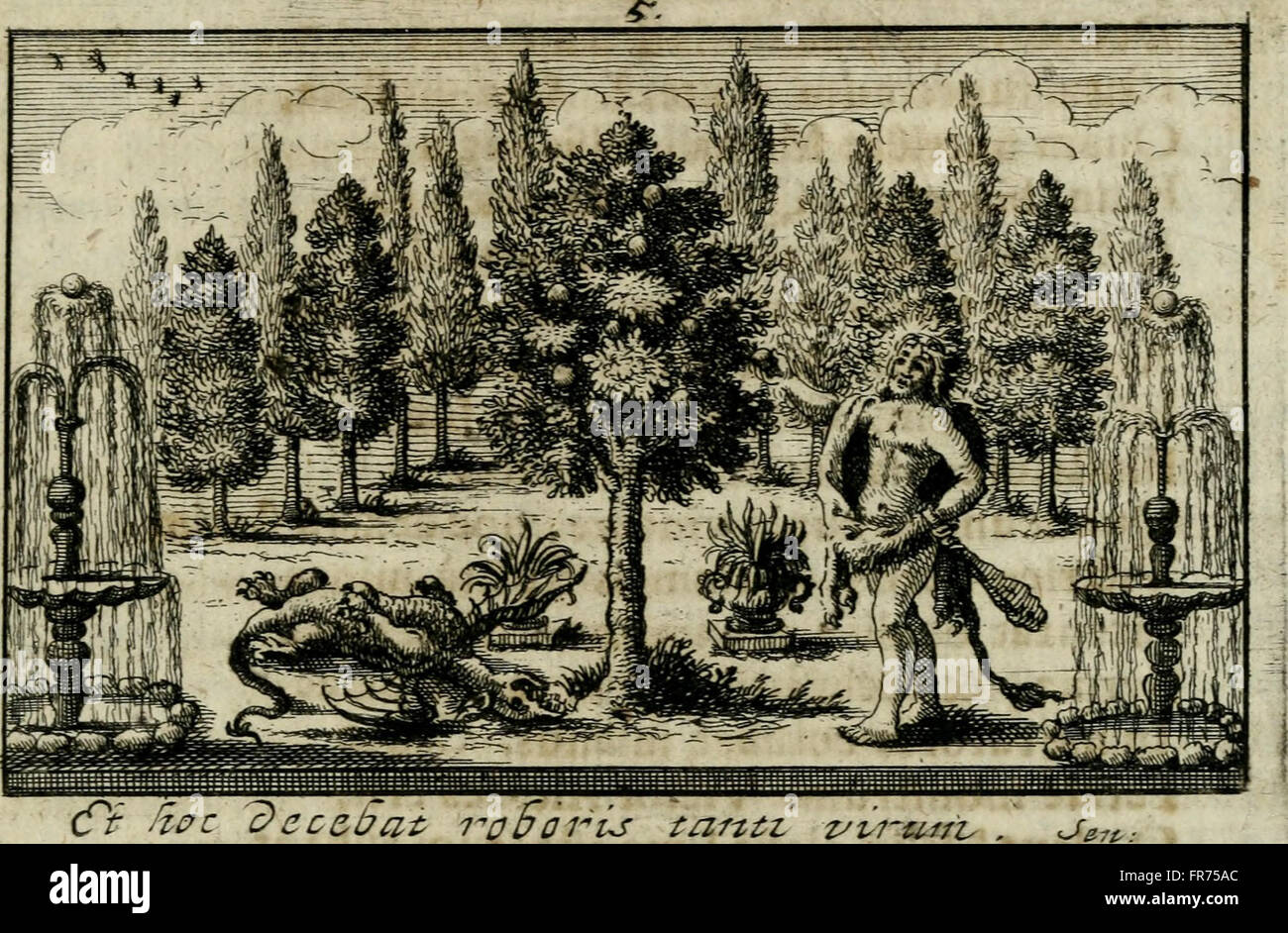 Theatrum virtutis et honoris, augustis magnorum Caesarum filiis ab ...