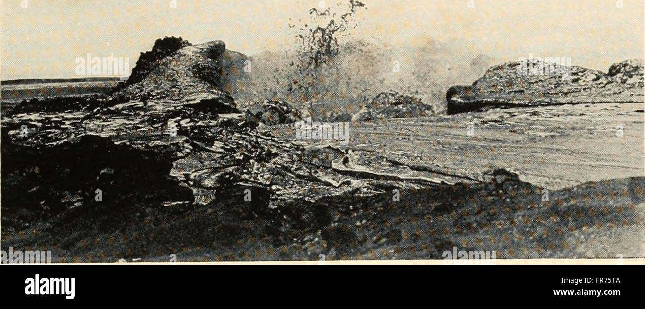 This 1922 memoir reflects on the life of a naturalist and teacher, with ...