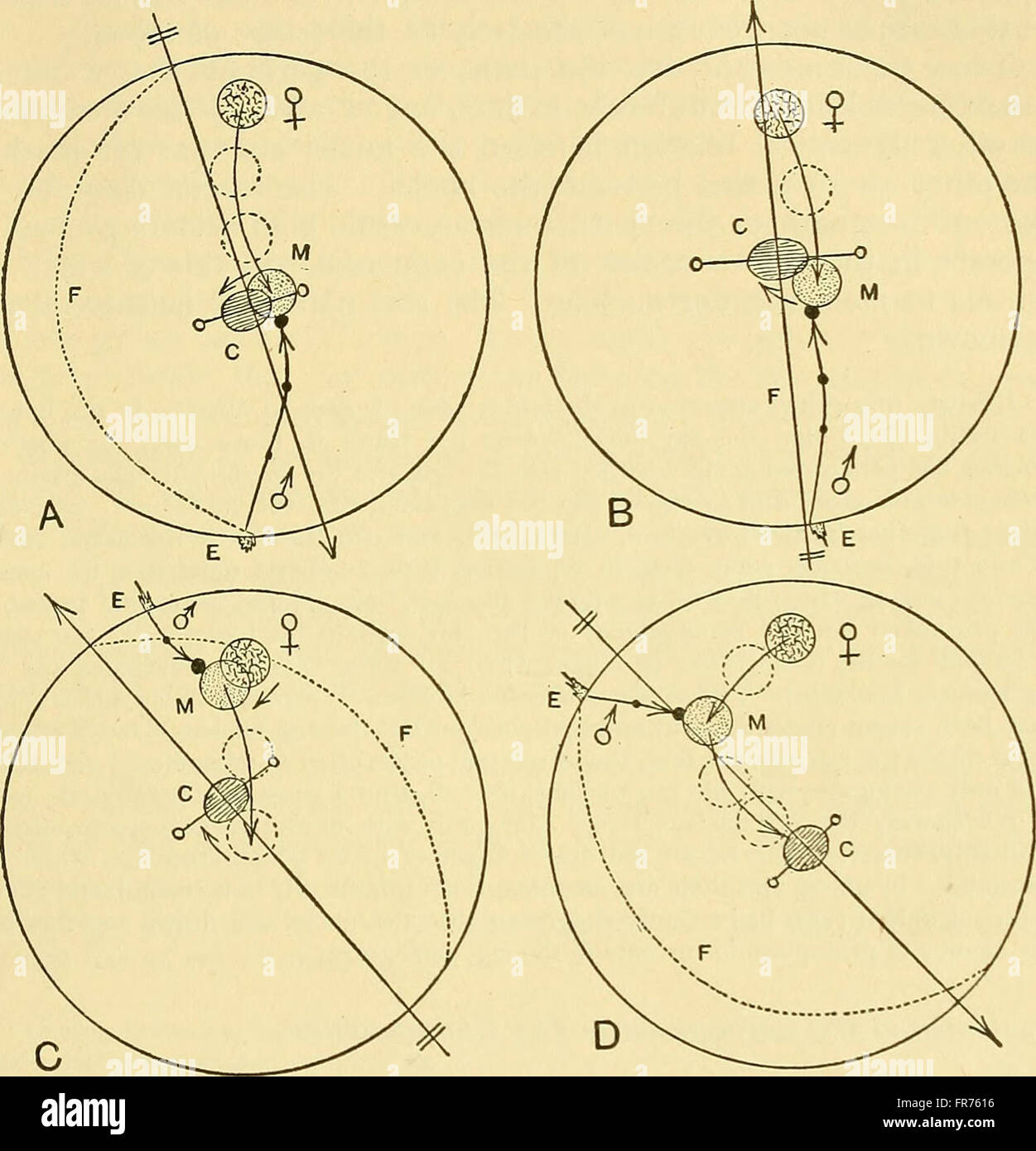 The Cell in Development and Inheritance explores the role of the cell ...