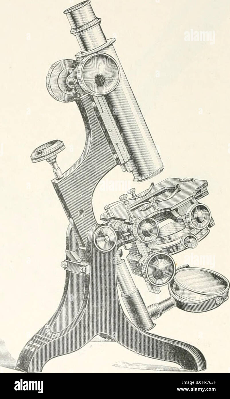The microscope and its revelations (1901 Stock Photo - Alamy