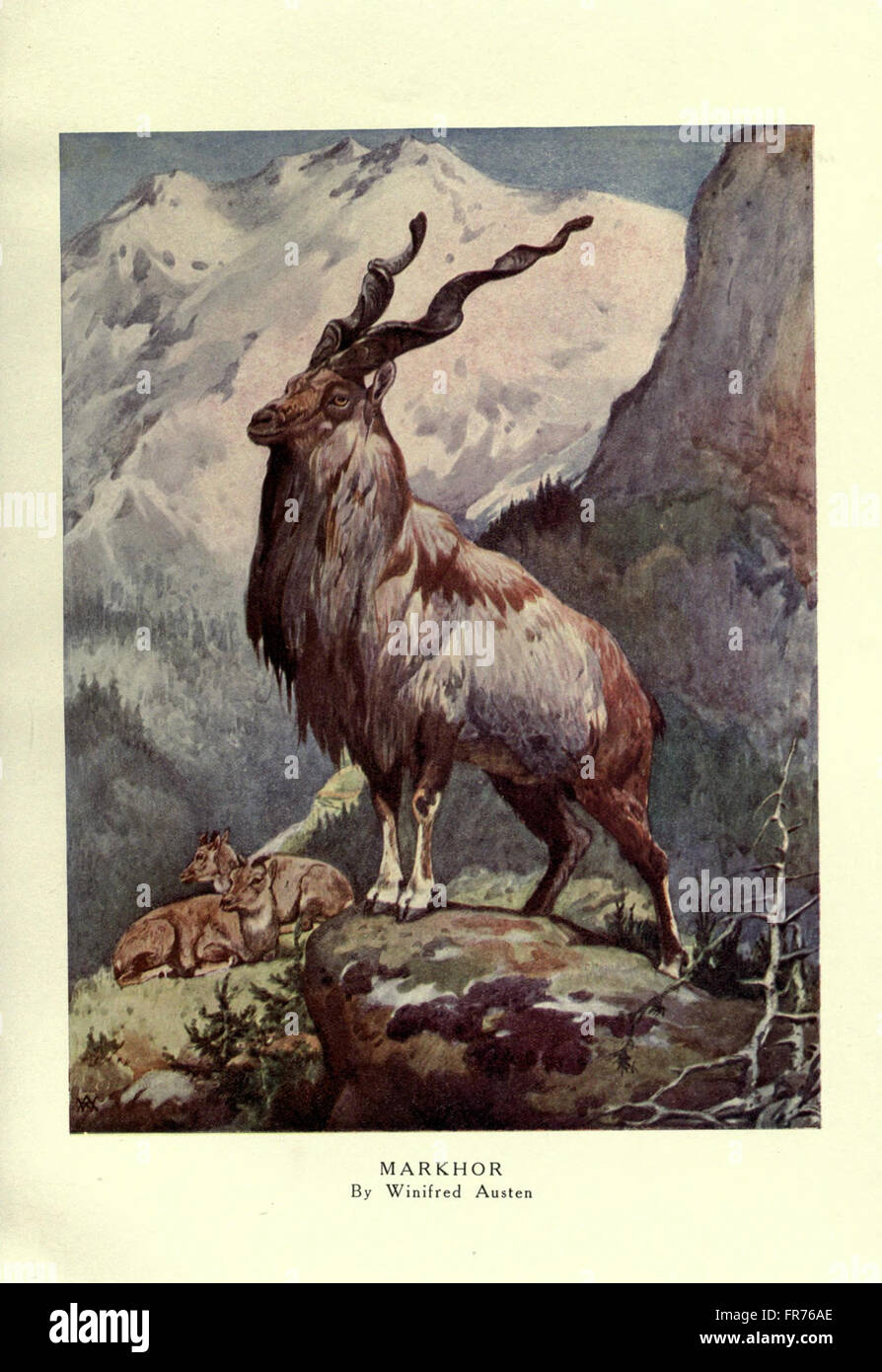 This work features a detailed portrayal of wild beasts from around the ...