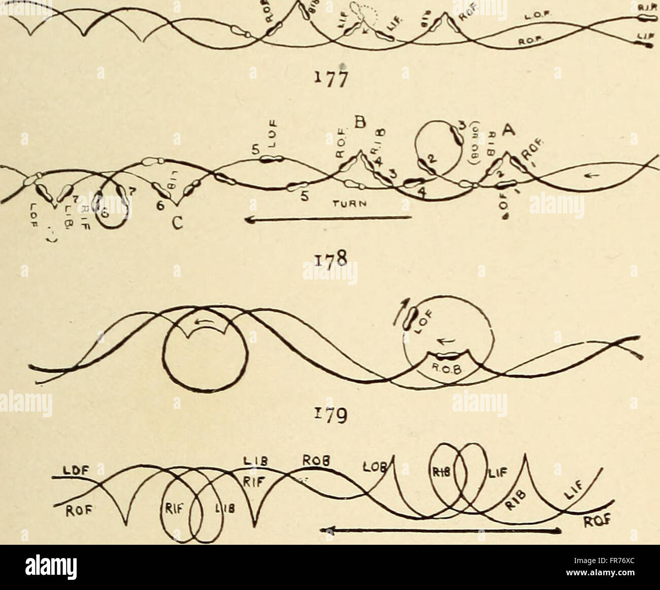 Six detailed diagrams hi-res stock photography and images - Alamy