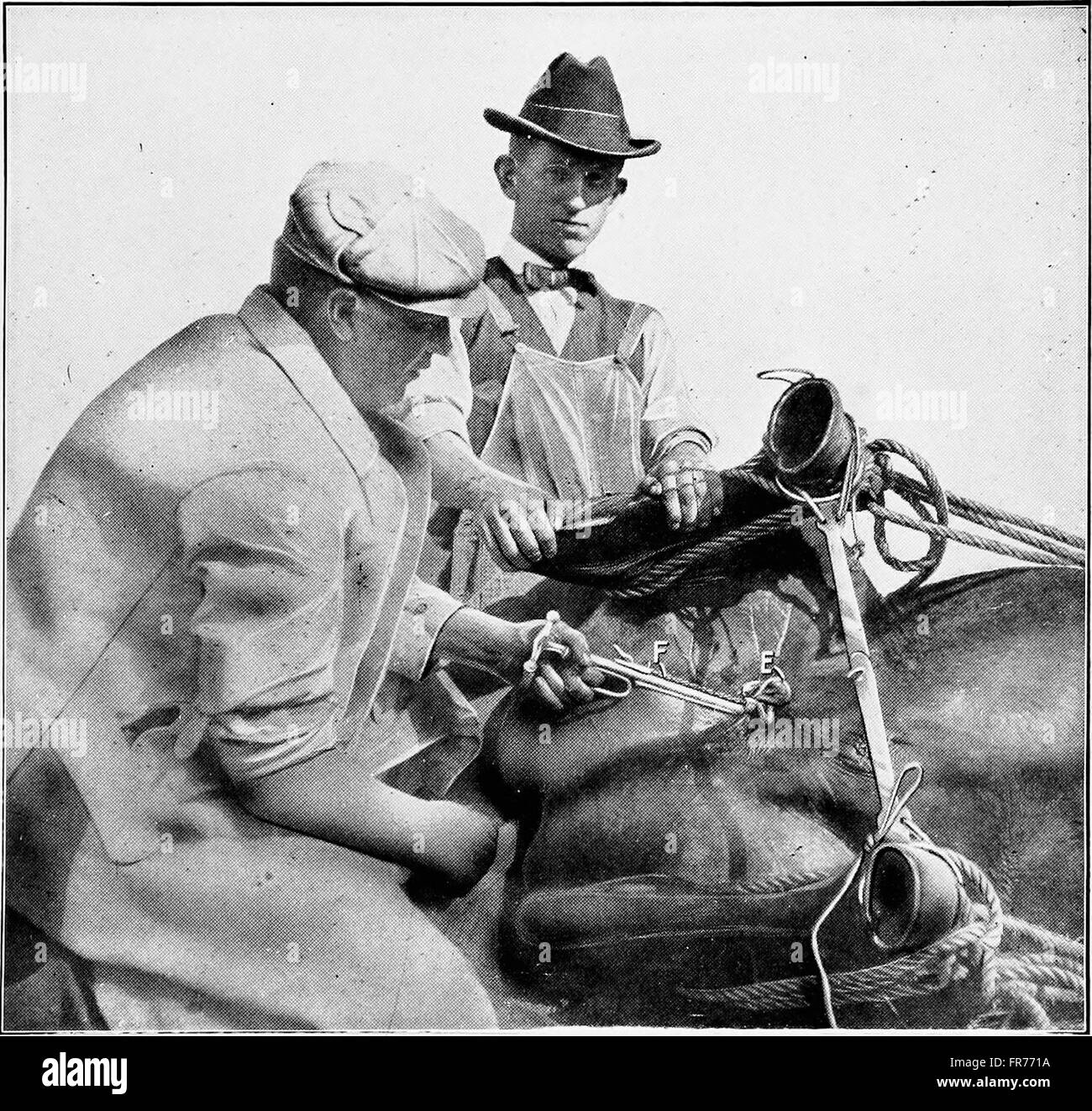 'Animal Castration' (1914) is a practical guide for students and ...