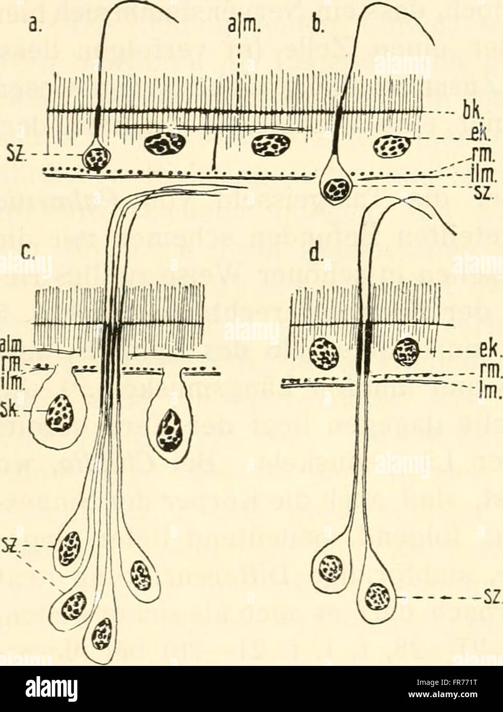 Soc font hi-res stock photography and images - Alamy