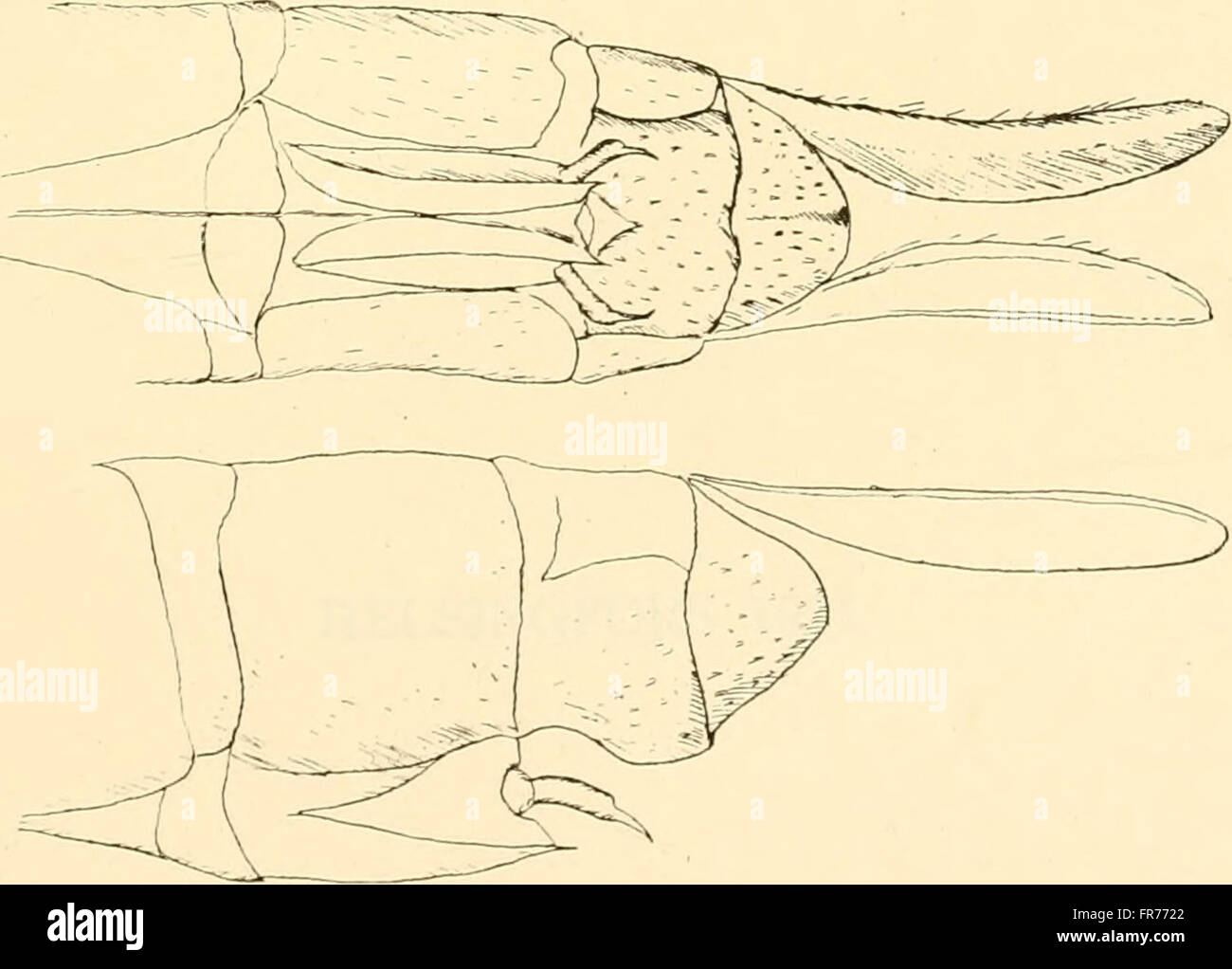 Soc font hi-res stock photography and images - Alamy