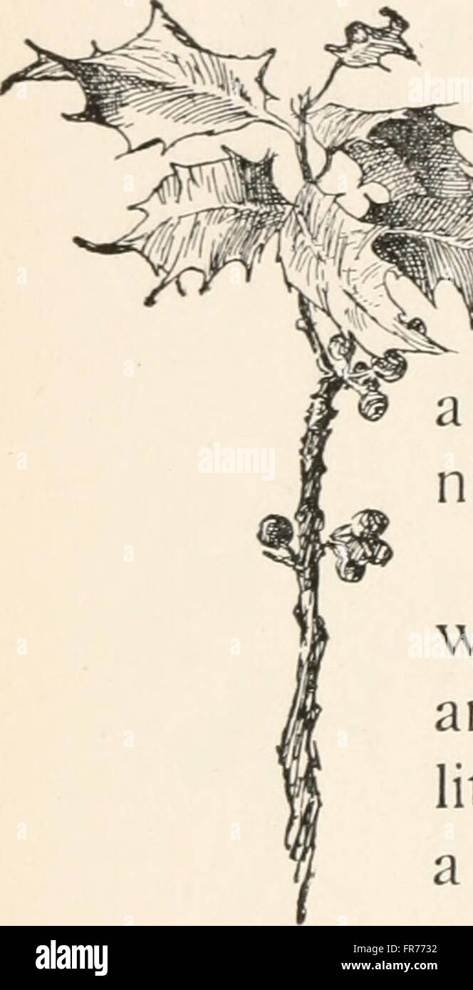 This 1900 edition of Charles Dickens' 'A Christmas Carol' tells the ...