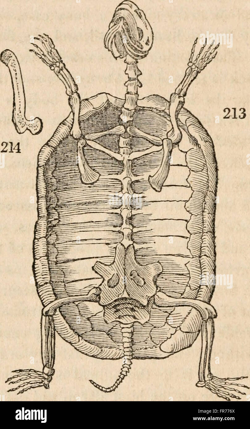 This 1836 work explores animal and plant physiology through the lens of ...