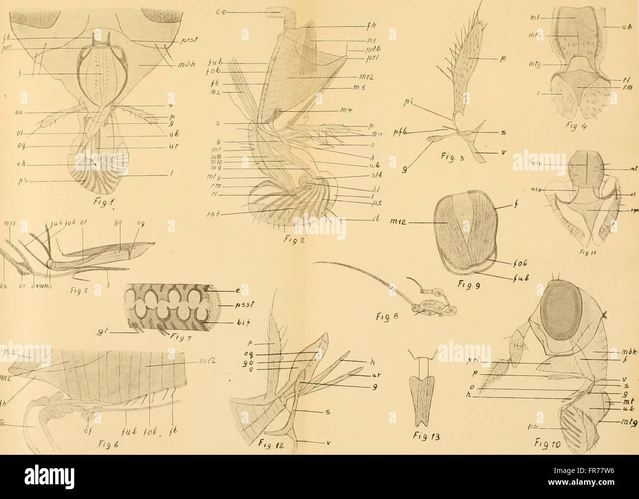 Soc font hi-res stock photography and images - Alamy