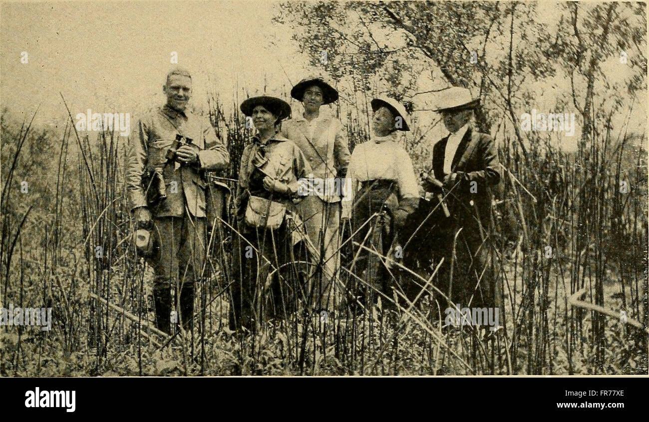 A 1918 ornithological journal featuring articles on bird behavior ...