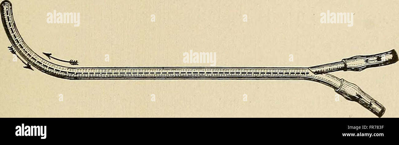 A manual of syphilis and the venereal diseases, (1900 Stock Photo - Alamy