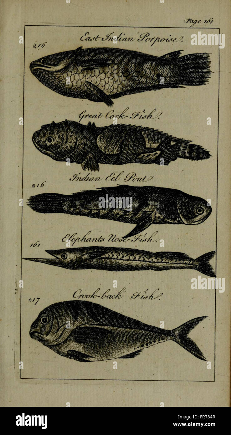 This 17th-century illustration provides a detailed depiction of various ...