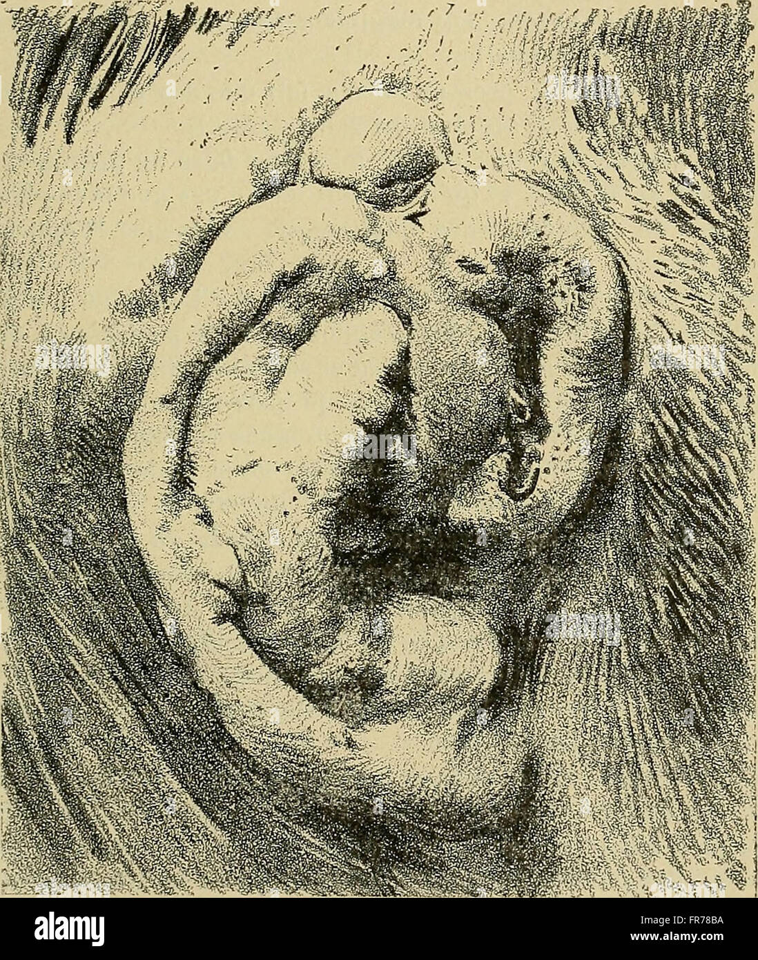 This journal, published in 1900-1901, covers studies in parasitology ...