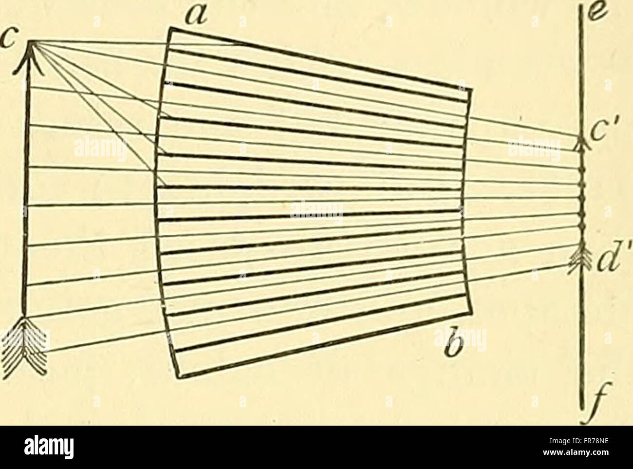 'Animal Life and Intelligence' (1891) discusses the cognitive abilities ...