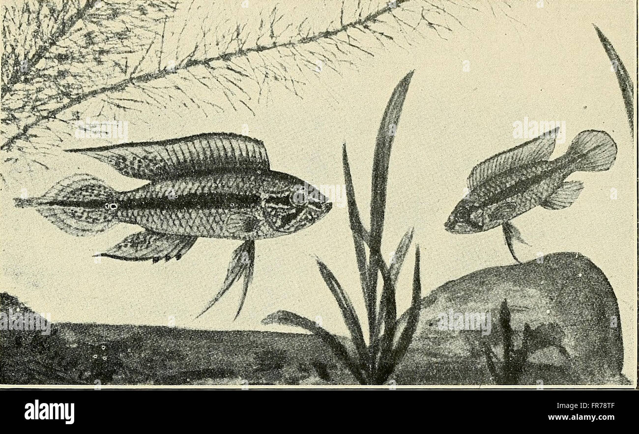 This two-year publication explores various aspects of aquatic ...