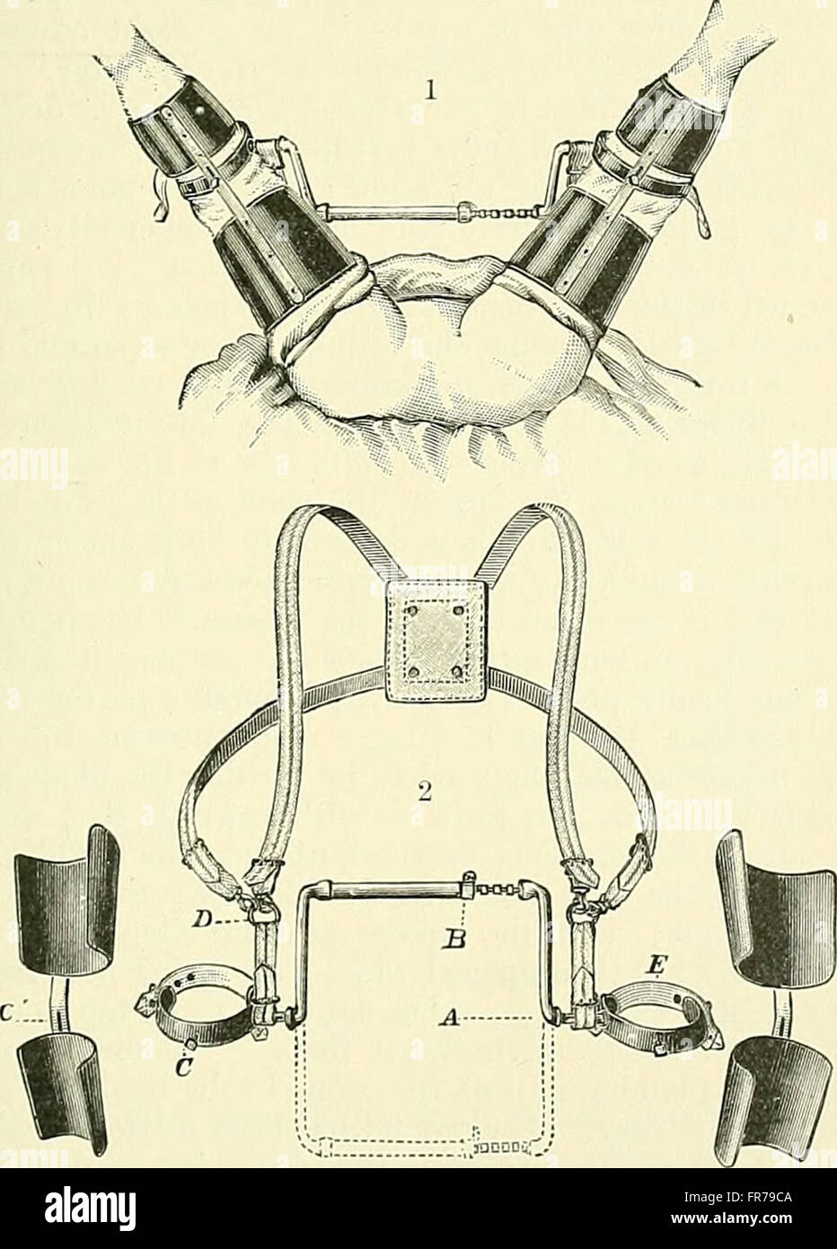 An American text-book of genito-urinary diseases, syphilis and diseases ...