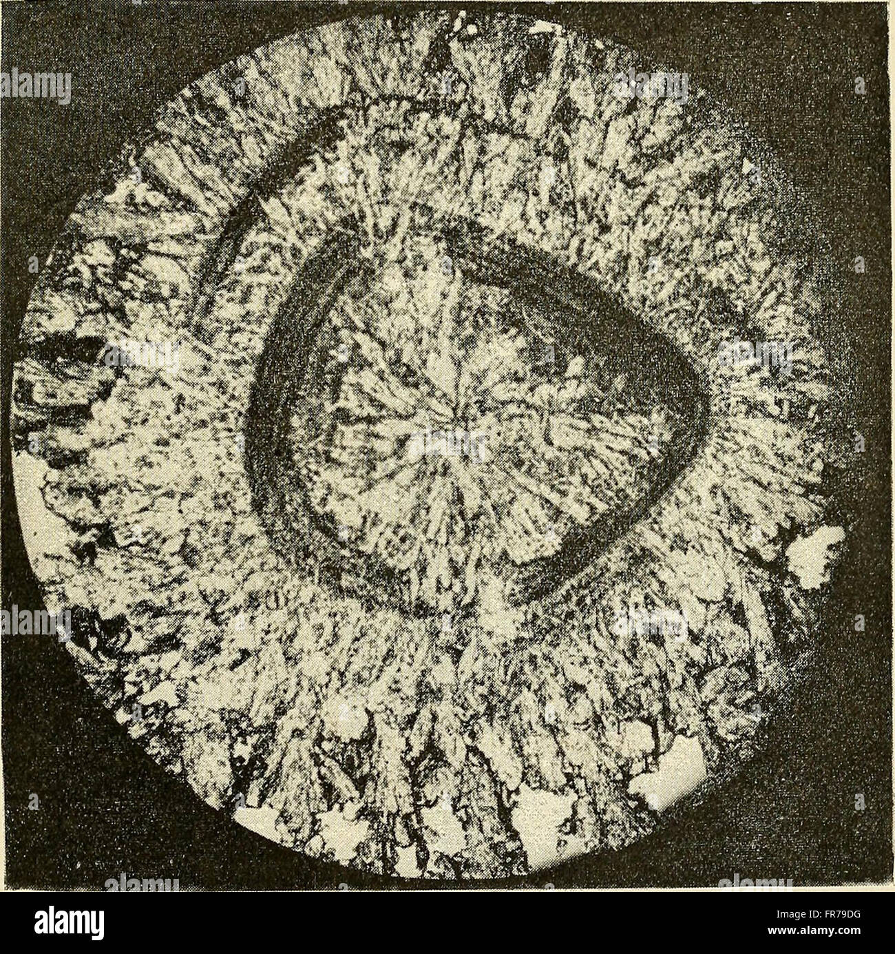 This 1893 medical text provides a detailed system for understanding ...
