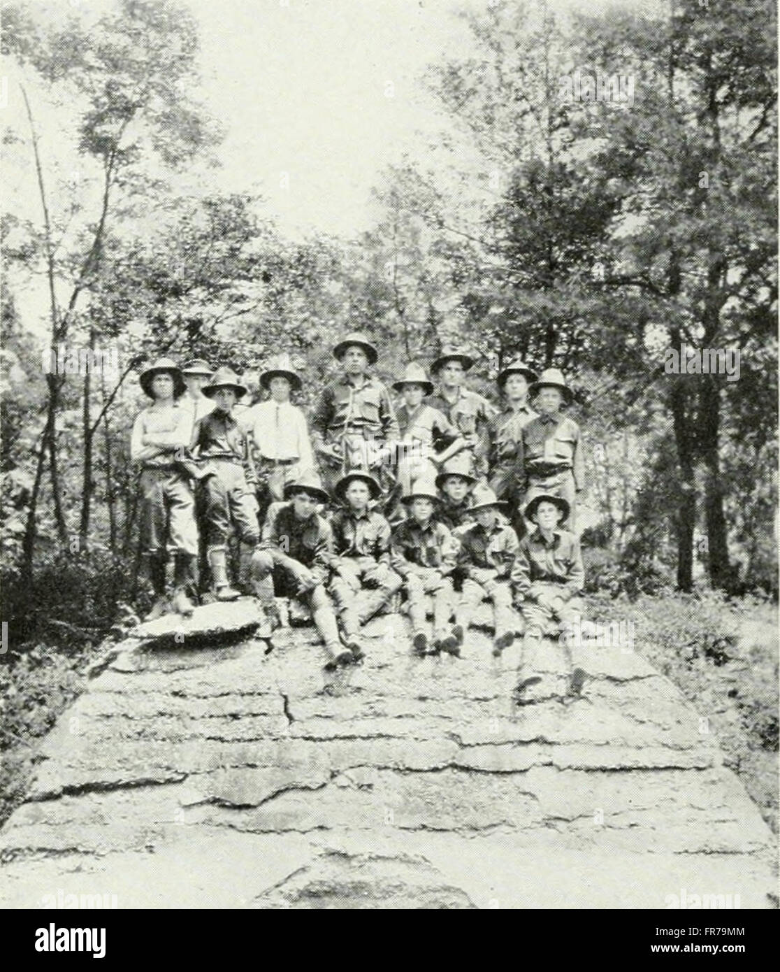 A periodical publication covering topics in forestry, focusing on the ...