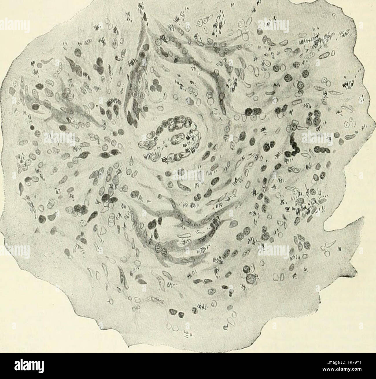 This 1900 reference handbook covers a wide range of medical sciences ...