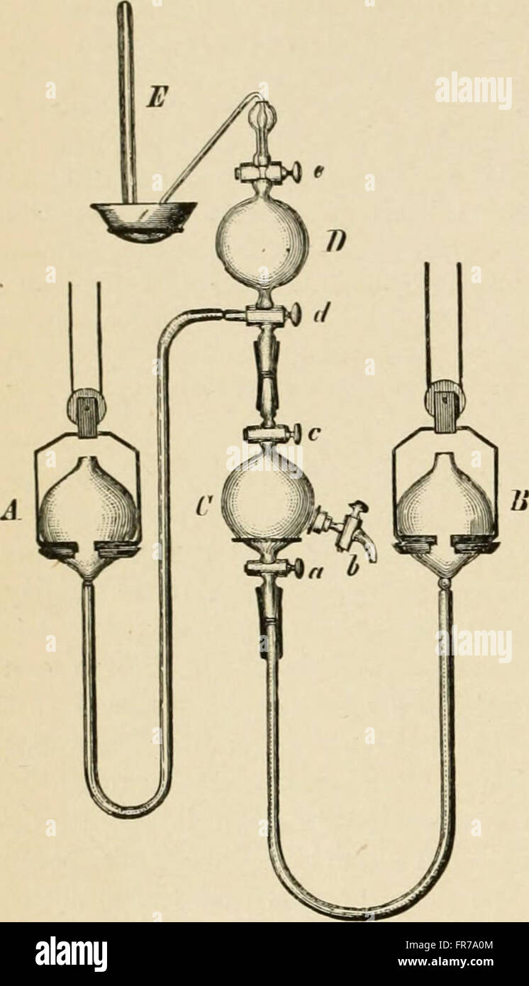 A 1906 textbook on human physiology, detailing the structure and ...
