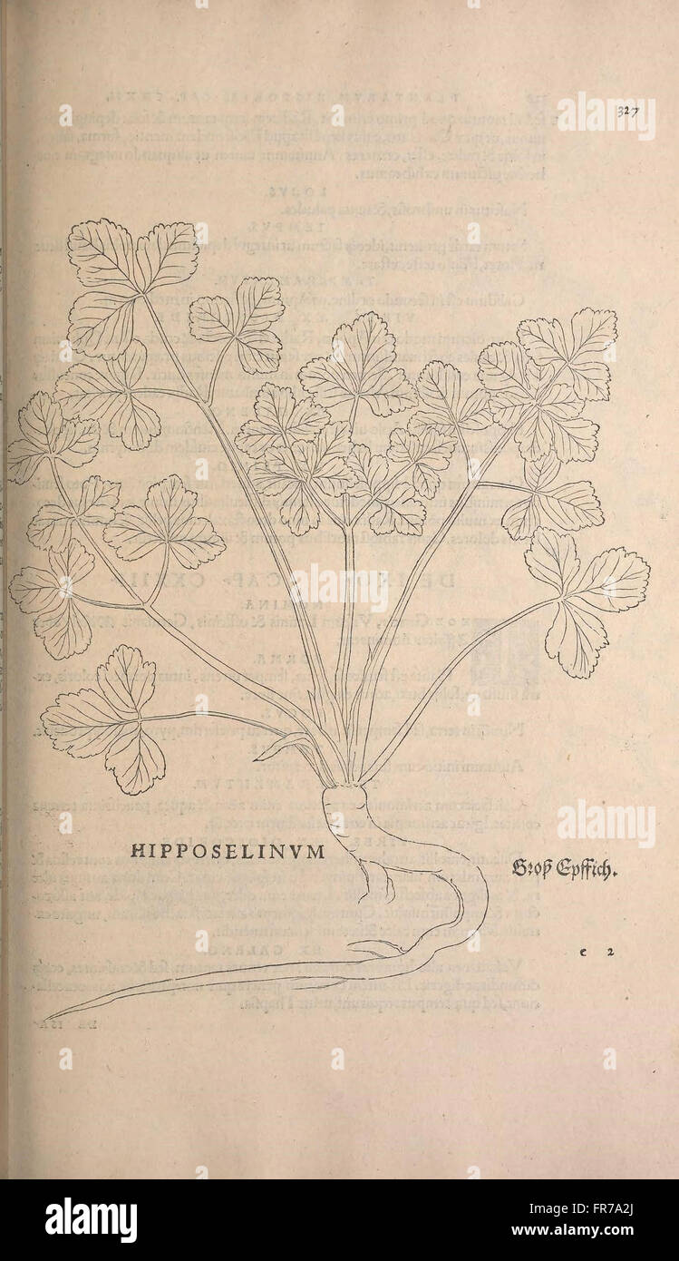 This botanical text discusses the history of plants, with notable ...