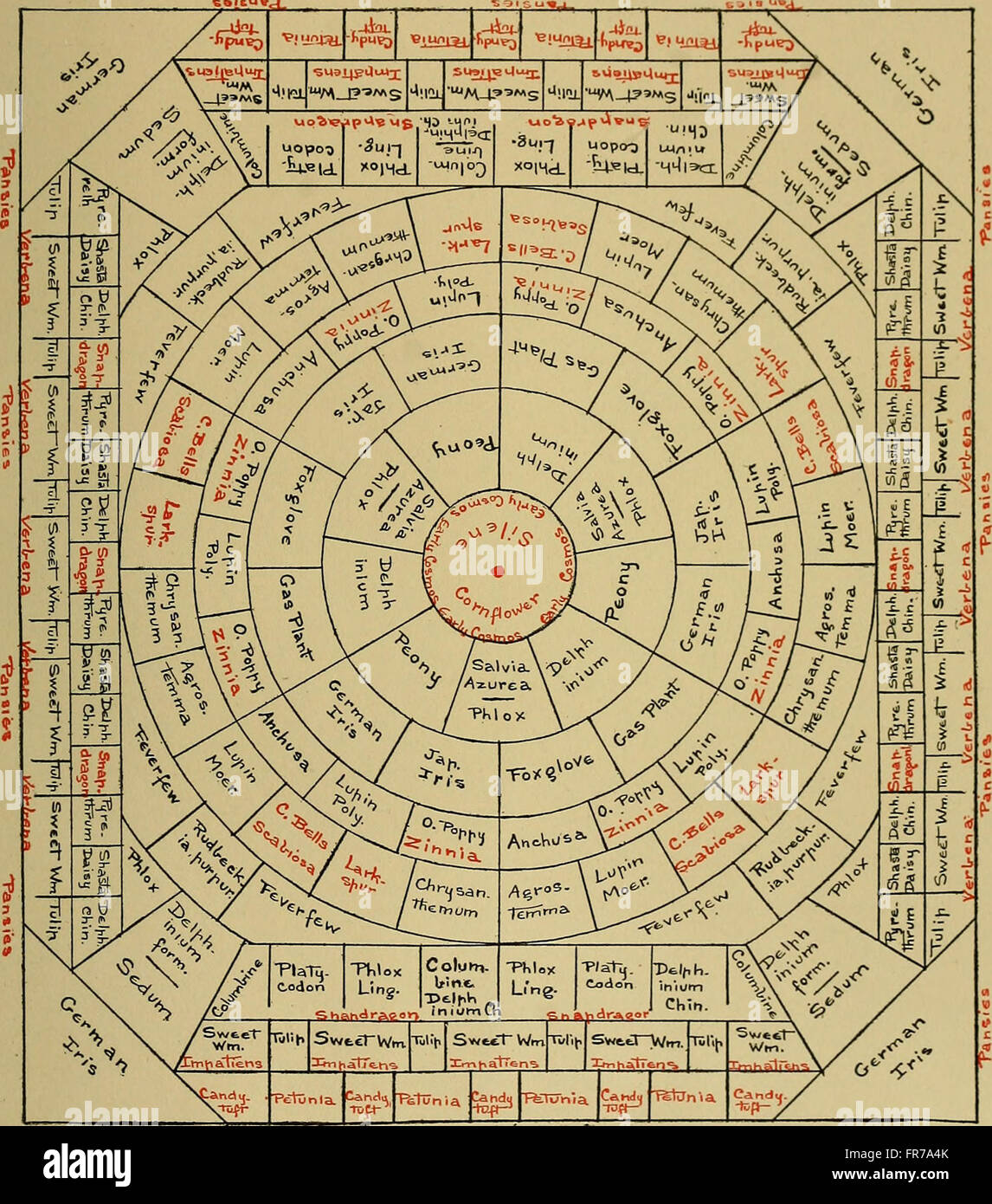 Continuous Bloom in America (1915) is a horticultural guide focusing on ...