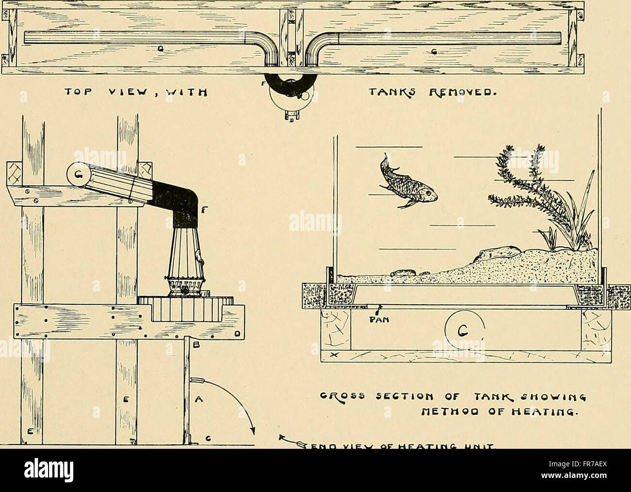 This publication from 1918-1919 explores the various forms of aquatic ...