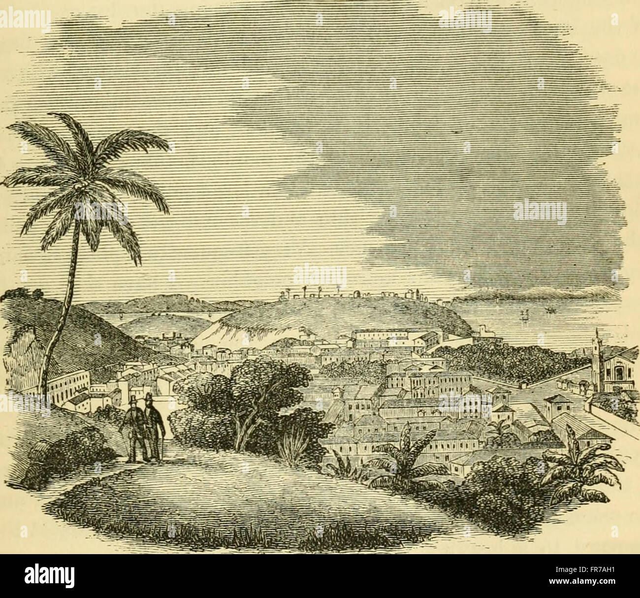 This 1857 work provides an in-depth portrayal of Brazil and its people ...