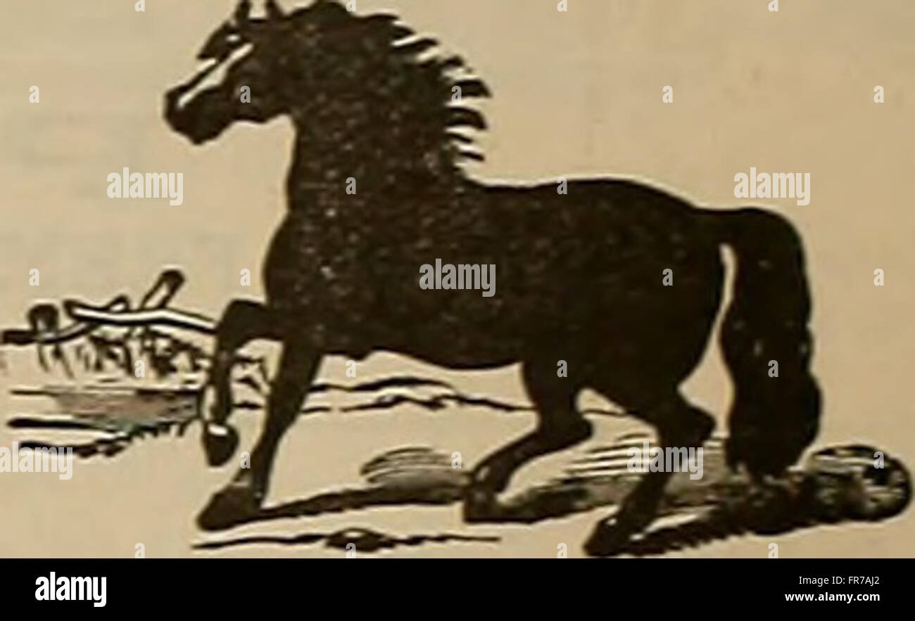 Breeder and Sportsman, a publication from 1891, provides detailed ...