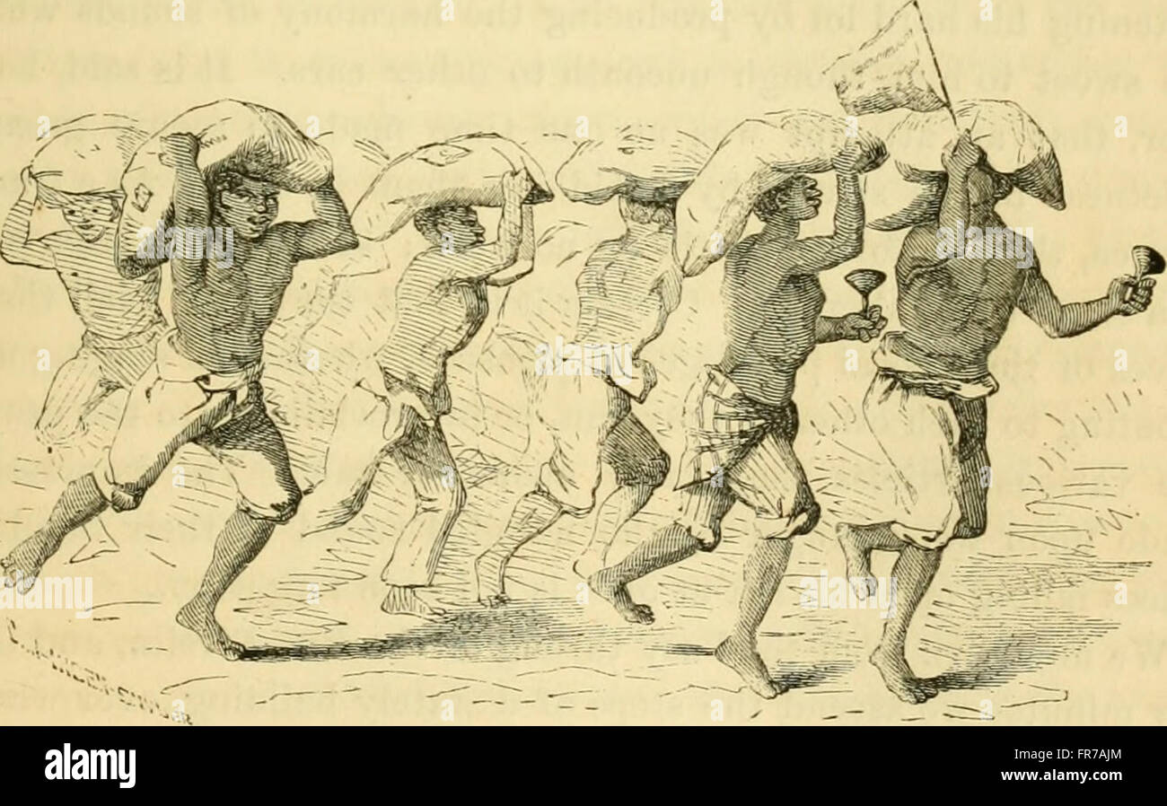 This 1857 work provides a comprehensive portrayal of Brazil and its ...