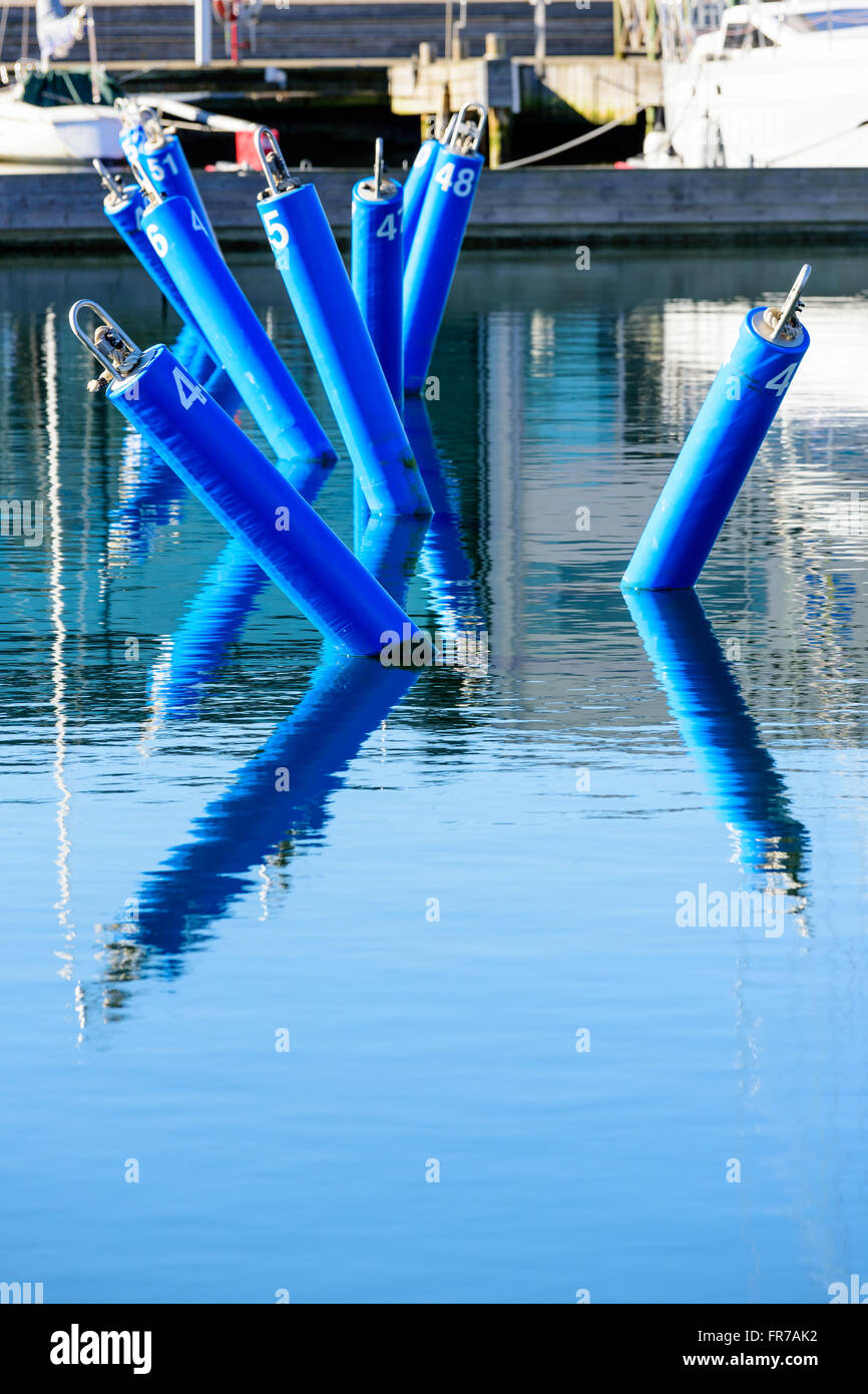Blue, numbered mooring places in a marina. No boats tied to them. Calm ...