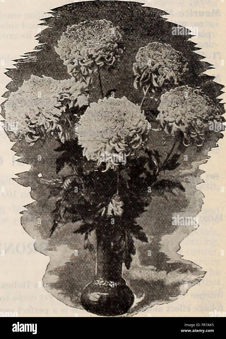 1897 calendar hi-res stock photography and images - Alamy