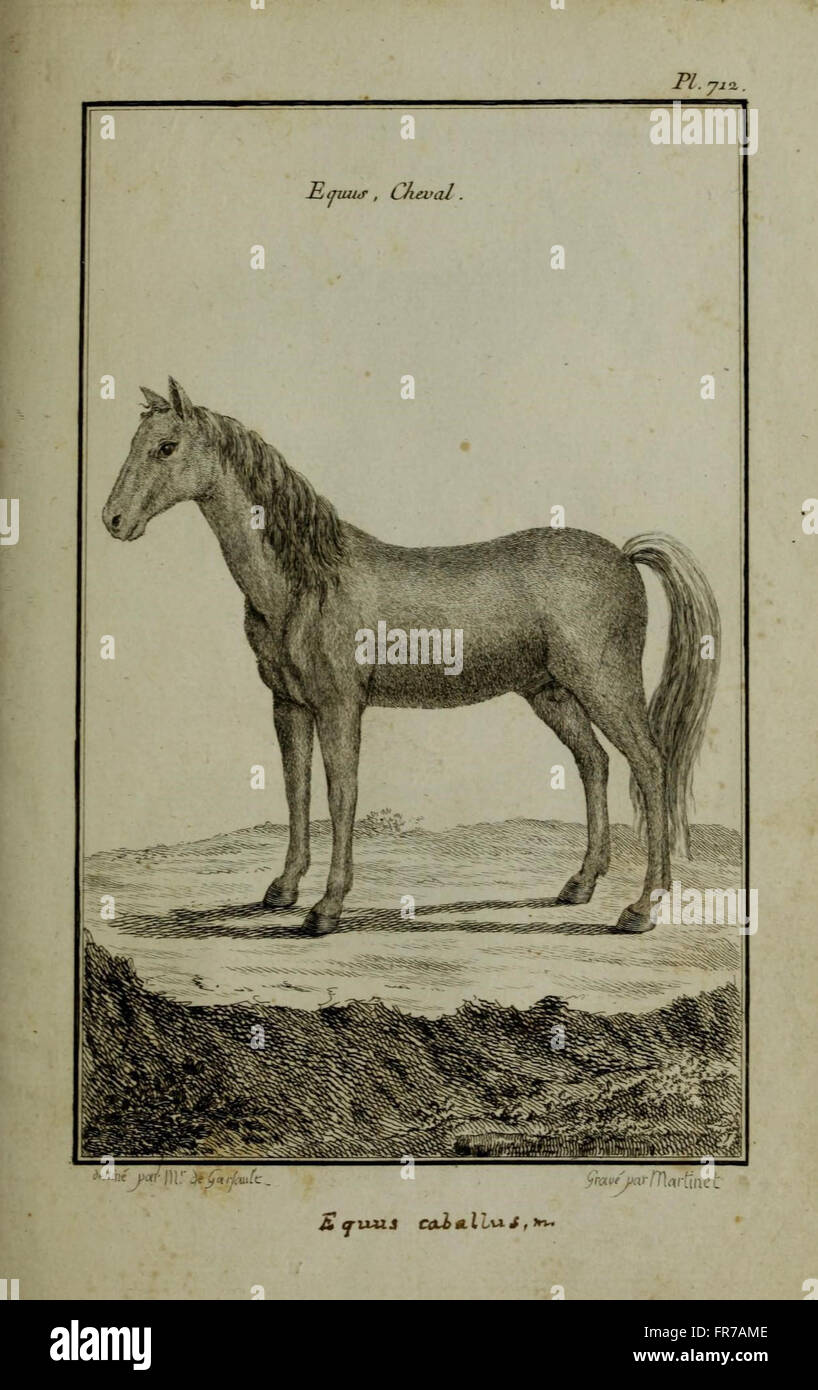 'Description, Vertus et Usages de Sept Cents Dix-Neuf Plantes ...