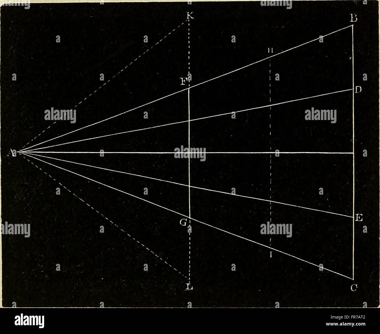 A foundational 1881 text on human physiology, explaining the principles ...