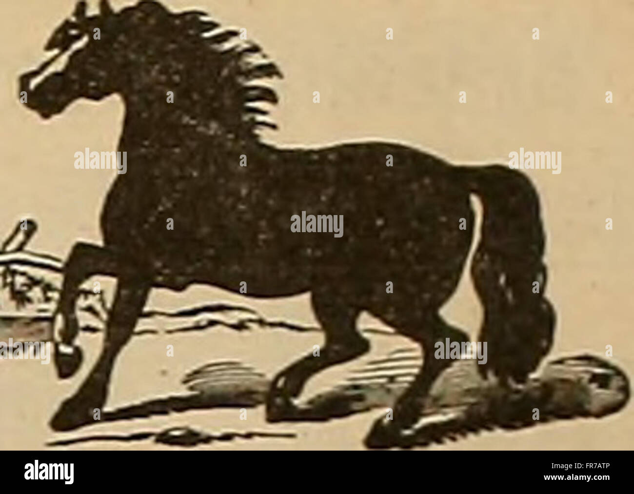 Breeder and sportsman (1890 Stock Photo - Alamy