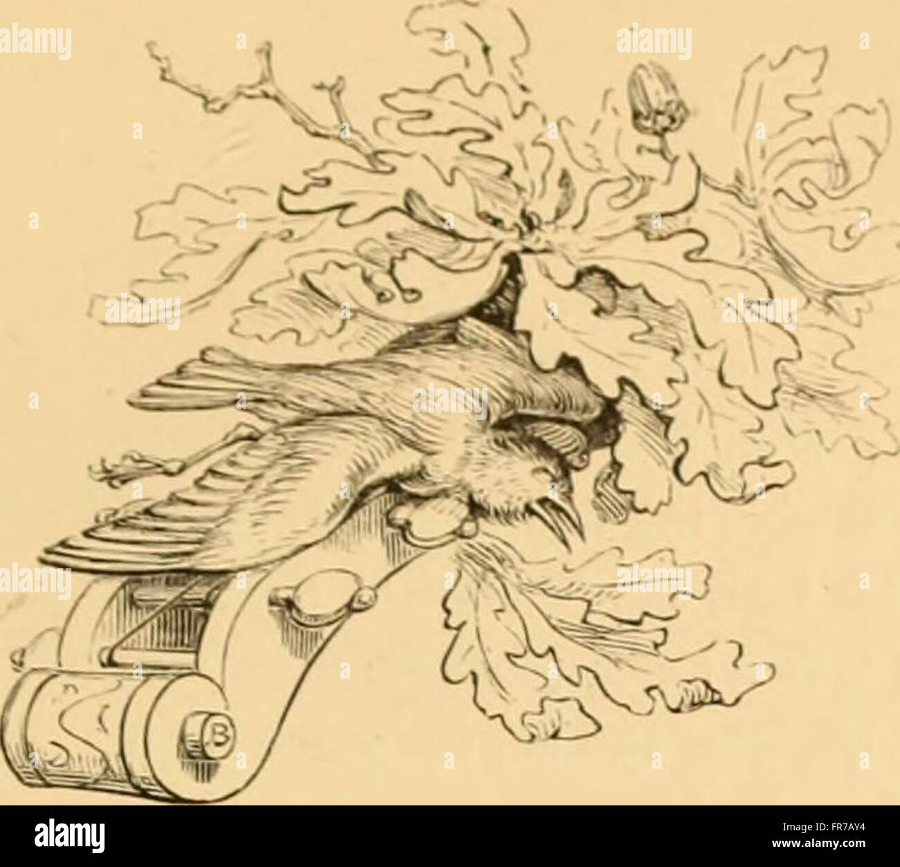 Richard crashaw hi-res stock photography and images - Alamy