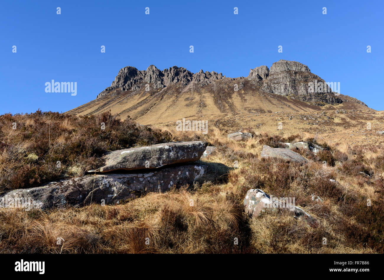 Stack polly hi-res stock photography and images - Alamy