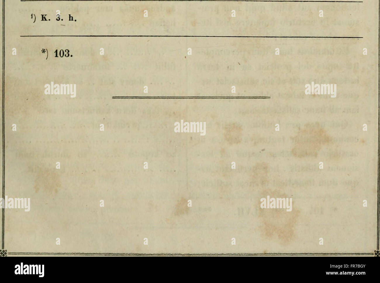 A 1844 work documenting the monuments and cultural heritage of the ...